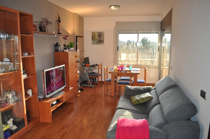 Fantástico Apartamento Con Terraza A 50 M De Playa - Llançà