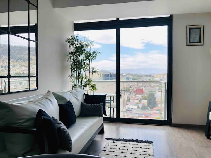 Hermoso Departamento Toluca Centro, Mol - Toluca