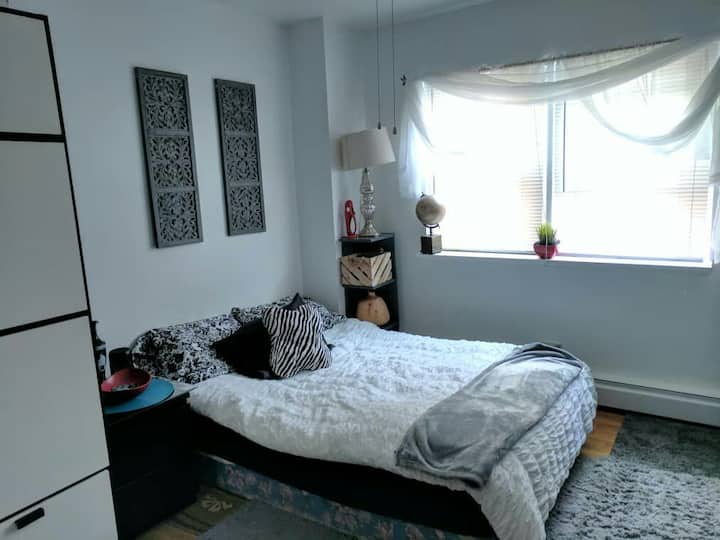 Cozy Private Room /Blue Line ,Metra Train / - Niles, IL