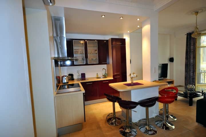 3 Pieces 60 M2 Centre Ville -Climatisation - Niza