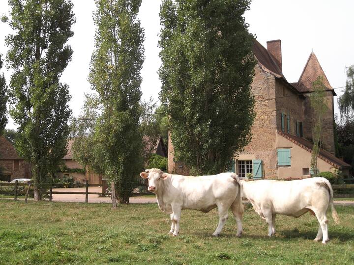 Gite De Sermaize - Paray-le-Monial