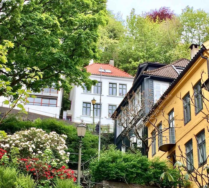 Koselig Leilighet Med Utsikt - Bergen