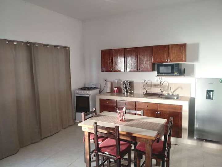 Departamento Alemania #2 - Puerto Vallarta