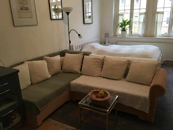 Gemütliches Apartment-nahe Clara-zetkin-park - Leipzig