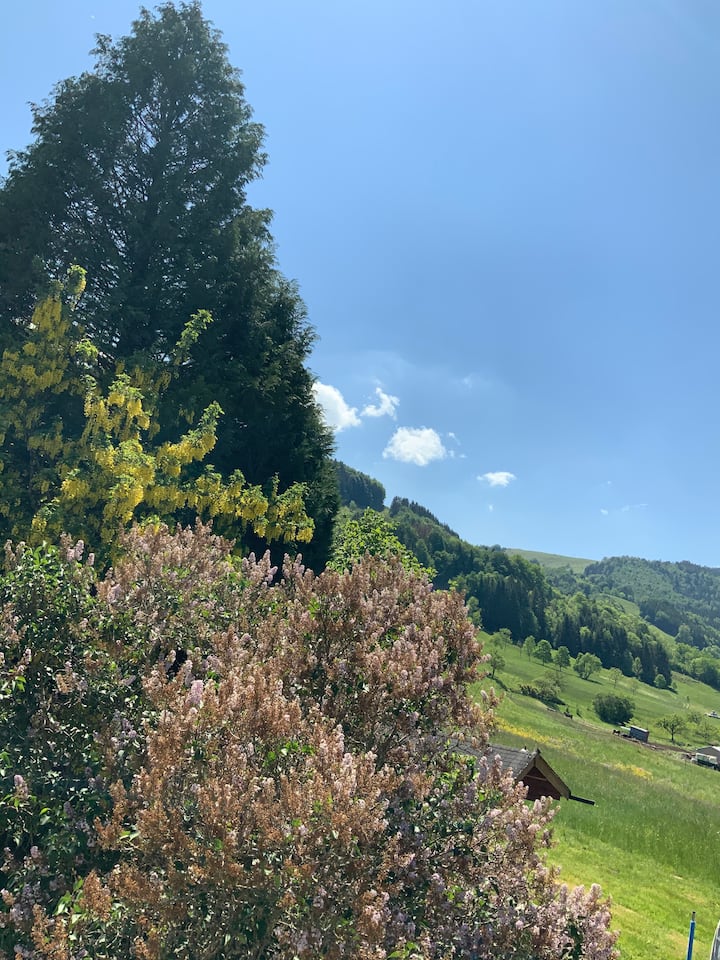 Chaletartiges Schwarzwaldhaus - Black Forest