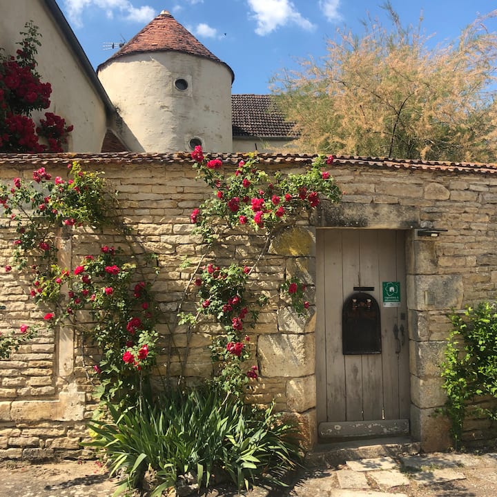Le Clos Malo - Jusqu'à 23 Personnes - 2h De Paris. - Noyers-sur-Serein