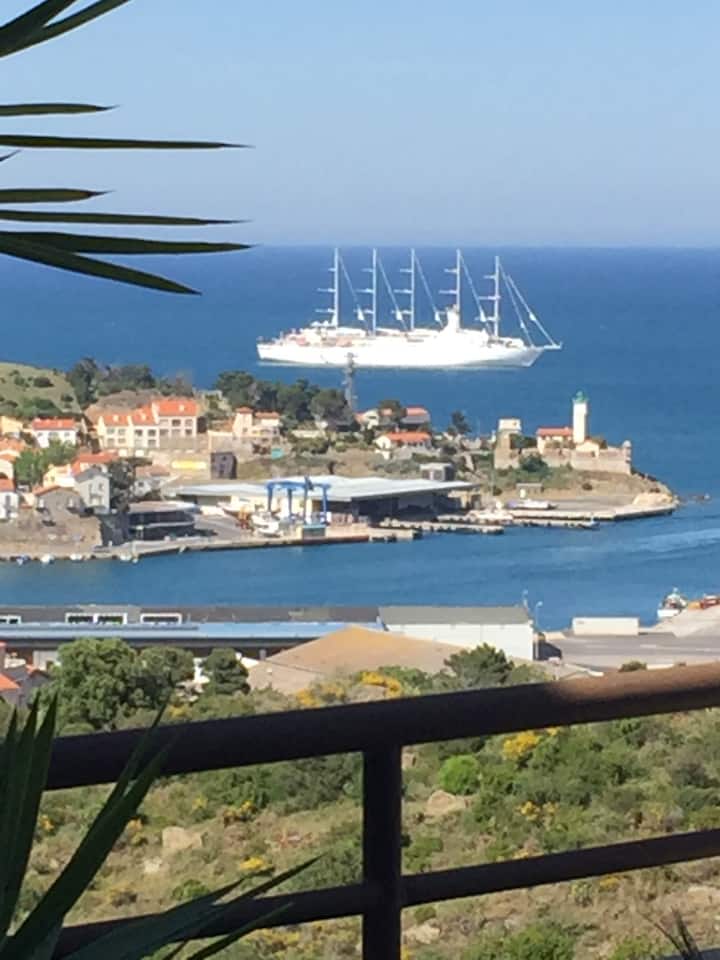 Unique Grande Maison Piscine Vue Mer Et Cap Bear - Banyuls-sur-Mer