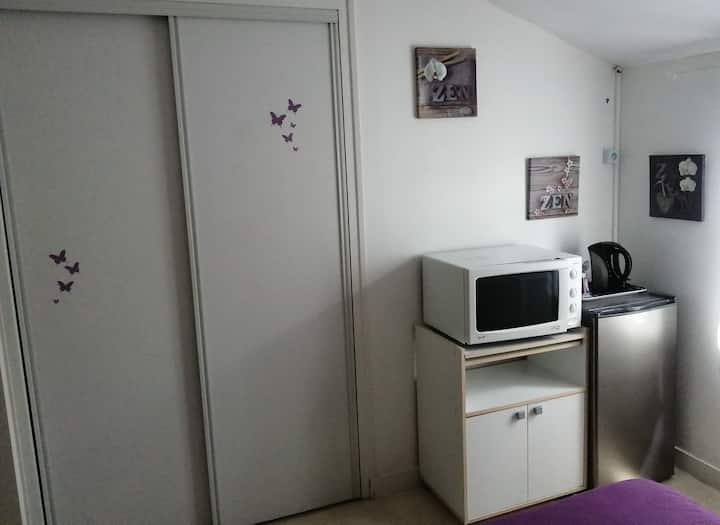 Chambre Chez L'habitant - Chasseneuil-du-Poitou