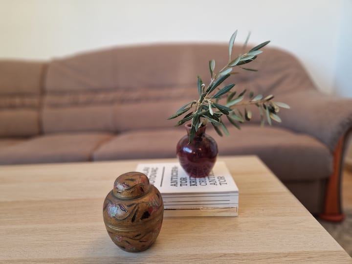 Terrace & Bbq - 3 Bedroom/apt - Dubrovnik