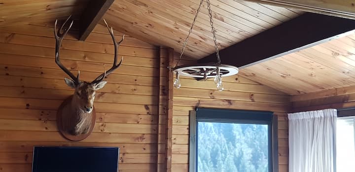 Lakeview Cottage - Cosy, Homely And Lake View - Lake Tekapo