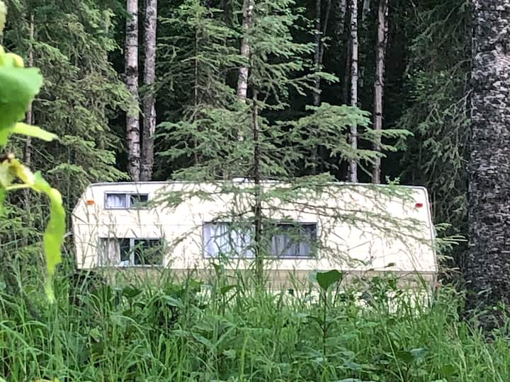 “Naturally Peaceful” Only 5min. To Town! - Alaska