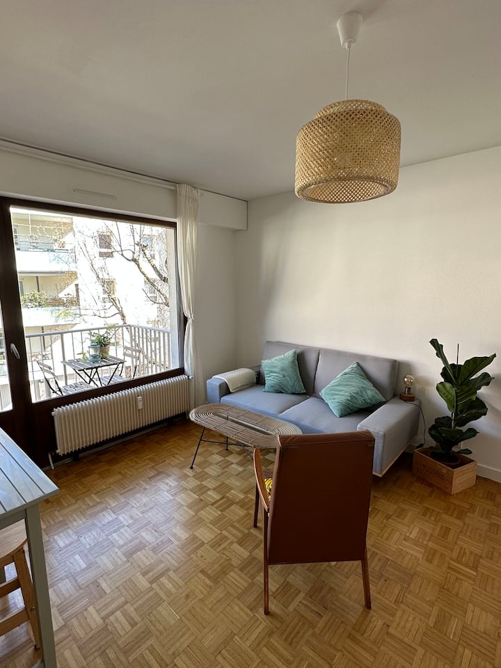 Grand Studio Calme Avec Parking Et Balcon - Annecy