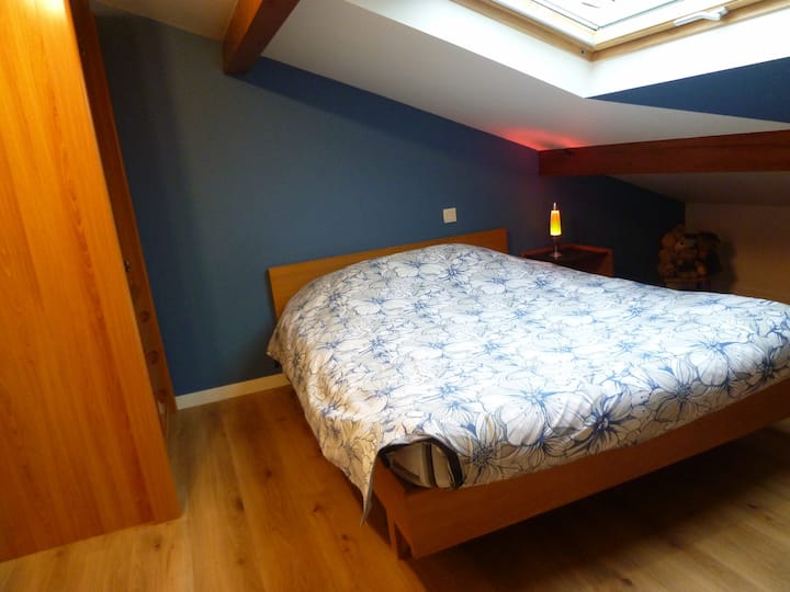 Chambre Avec Salle De Bains Privative Dans Duplex. - Annecy