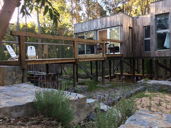 Jose Ignacio - La Juanita - Casa Bosque - Faro de José Ignacio
