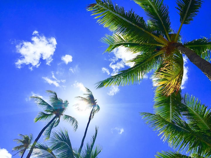 27 Fl. Ocean View, Free Parking, Heart Of Waikiki - Honolulu, HI