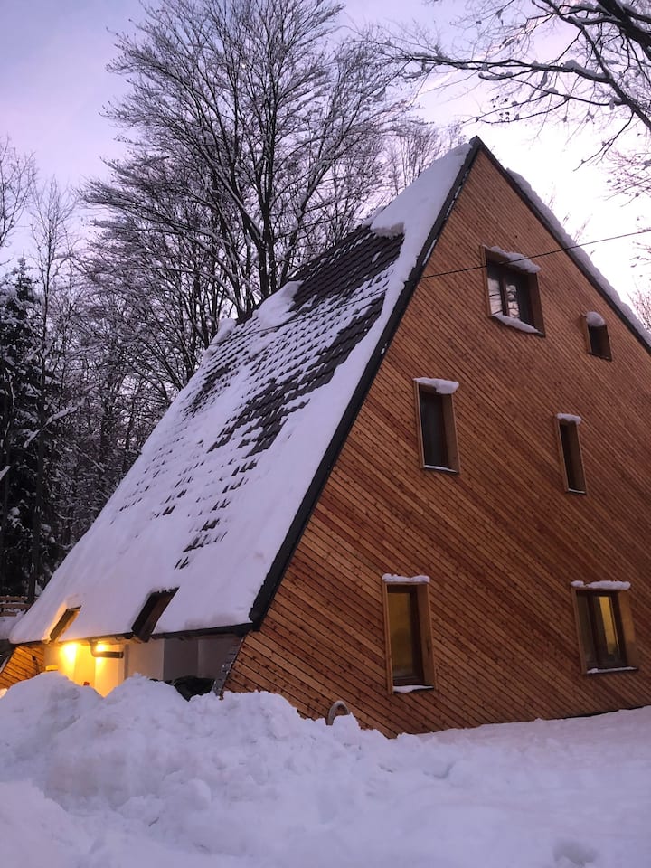 Brezovica Luxury Villa - Brezovicë - Kosovo