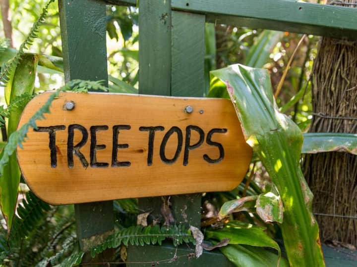 Treetops Bungalow - Palm Beach Bungalows - Waiheke Island