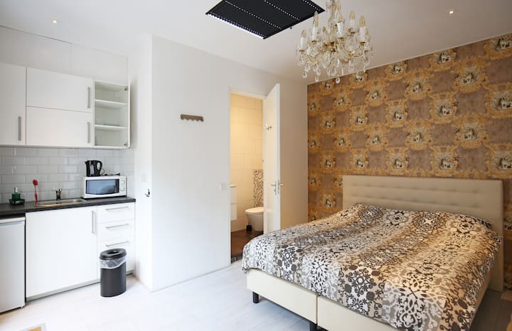 Private Studios Close To Amsterdam And Haarlem - Haarlem