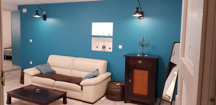 F2 Cosy En Rdc Avec Cour à Metz Centre - Woippy