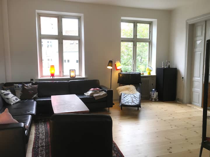 Central Big Bright Apartment, Fully Furnished. - Odense