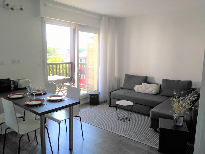 Ambiance Cosy Capbreton - Capbreton