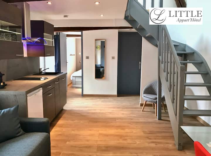 Catherine - Luxury 3 Bedroom Apartment + 70 M² Living Room In The Heart Of Old Lille - Lille, France