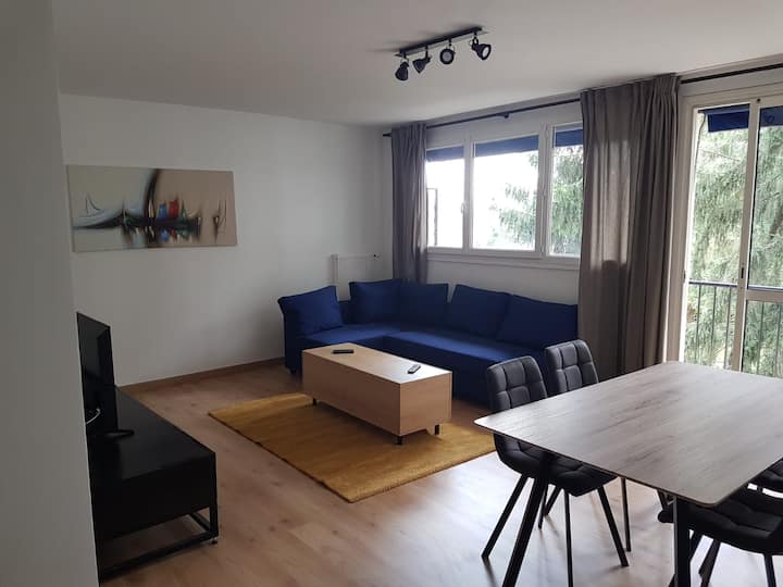 Chambre Meublée Pour Fille - Tours Nord - Tours