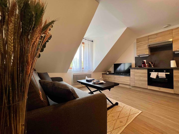 Appartement Centre-ville | 6 Prsn | Bord Du Doubs - Besançon