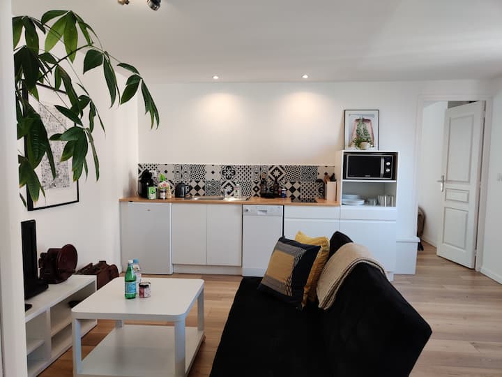Très Bel Appartement, Calme Et Lumière, Parc Lebas - Lille