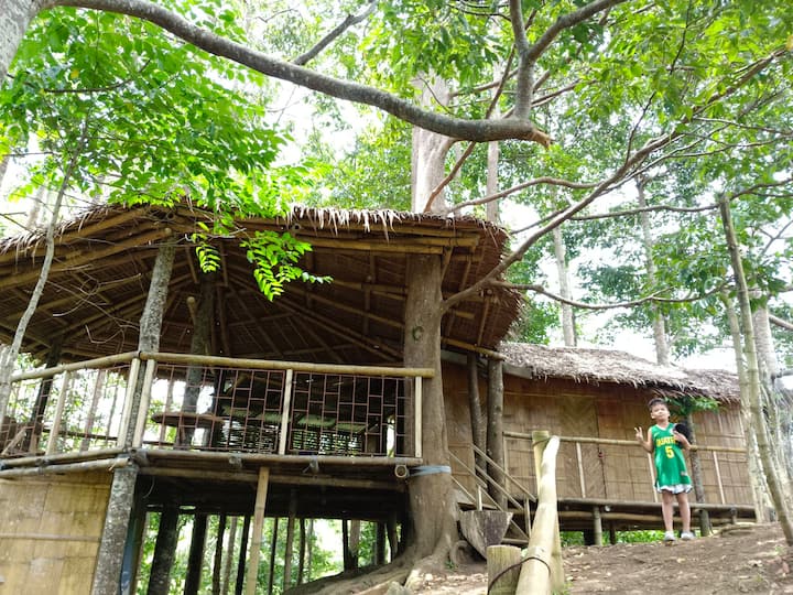 Sombria's Tree House - Silay City