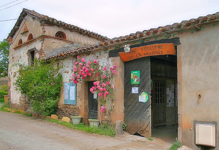Relais  éQuestre De La Vieille Maison, - Carmaux
