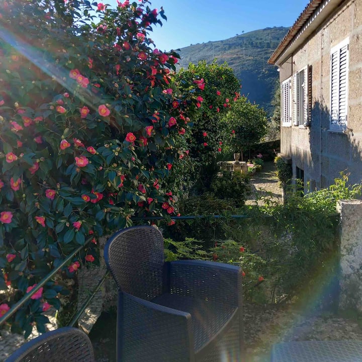 Casa Do Miguel - Resende, Portugal