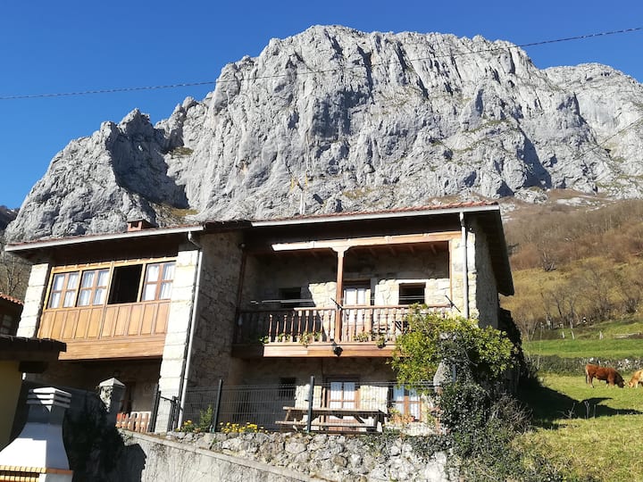 Casa Rural En Picos De Europa Cerca Cangas De Onis - Ponga