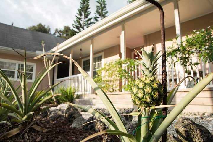 The Pineapple Suite.teal Tropical Home In Sarasota - サラソータ, FL