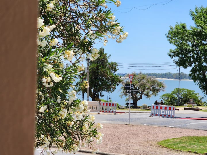 Amplia Casa Con Vista Al Rio Y La Bahía, Céntrica. - Uruguay