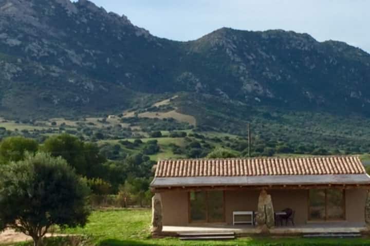 Villetta In Olive Trees - 阿蘭奇灣城