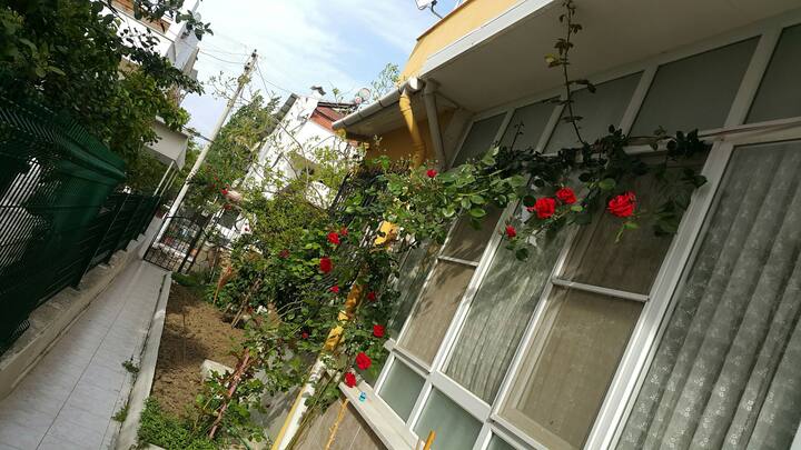 Deniz Ve Orman Arasında Uygun Fiyata Lüks Tatil - Burhaniye