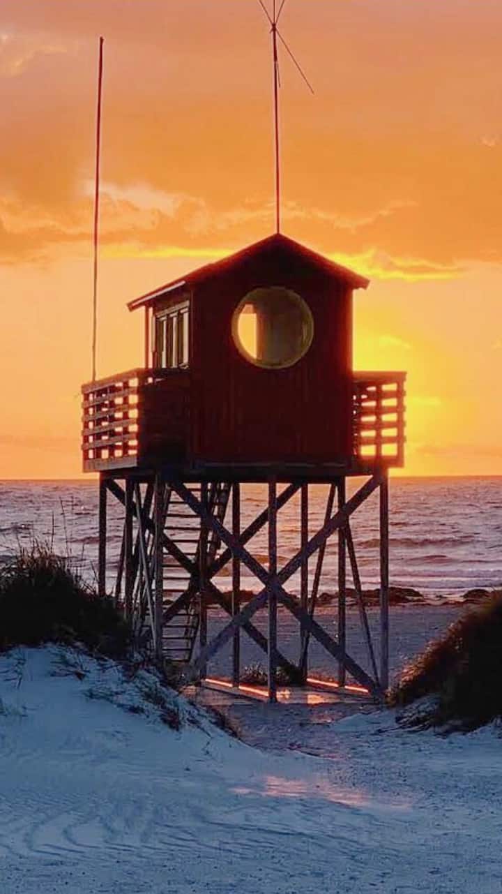 Poolvilla Nära Stranden Med Skog Runt Knuten. - Höllviken