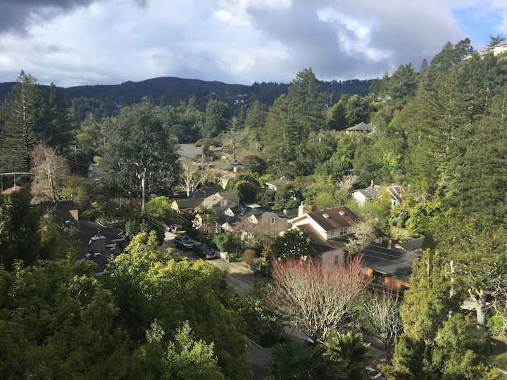 Nature Lovers Bedroom Suite In The Treetops - Sausalito, CA