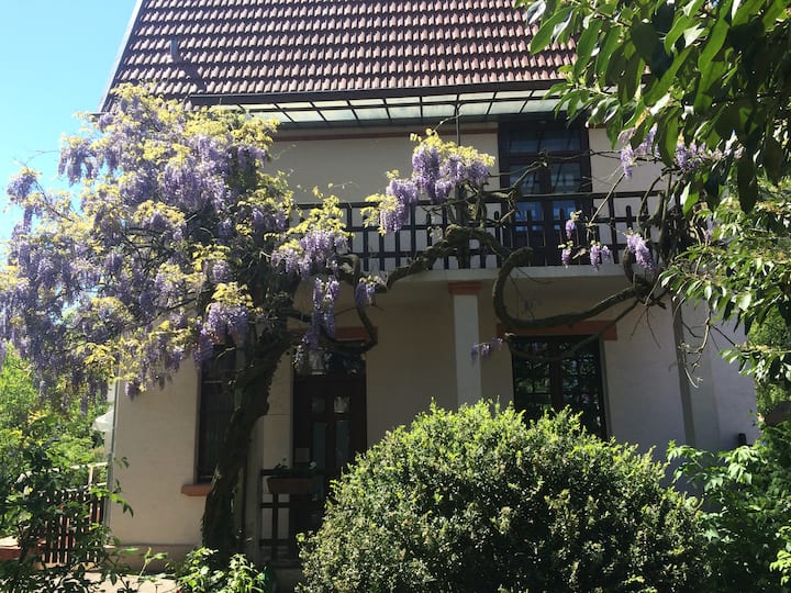 Charmantes Landhaus Mit Idyllischem Garten - Sarreguemines