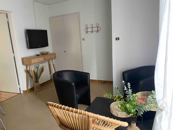 Confortable Et Agréable T1 N•1 - Ussel