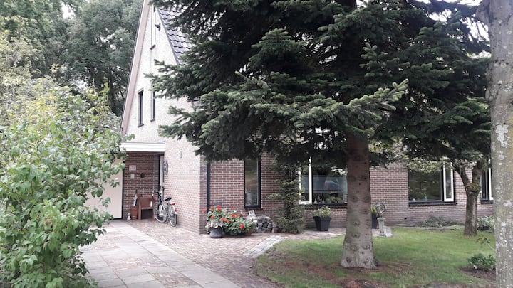 Zolderkamer Aan De Bosrand Vlakbij Utrecht. - Utrecht, Países Bajos