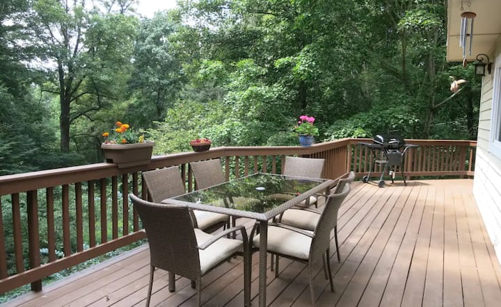 Asheville Best Mtn Retreat-5 Mi. Town! Spa. Dog Ok - Asheville, NC