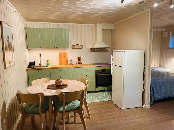 Koselig Leilighet På Tromsøya - Tromsø