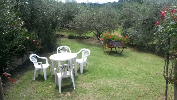Tuscany House: Garden San Gimignano View - Italien
