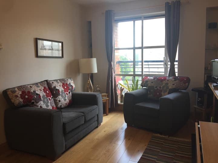 Charming Flat With Amazing View . - Dublin