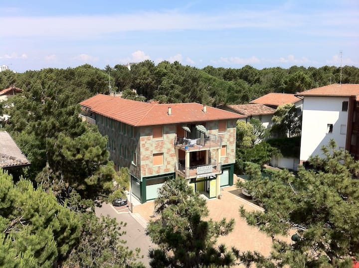 (7) Giovanni Versolatto - Lignano Pineta