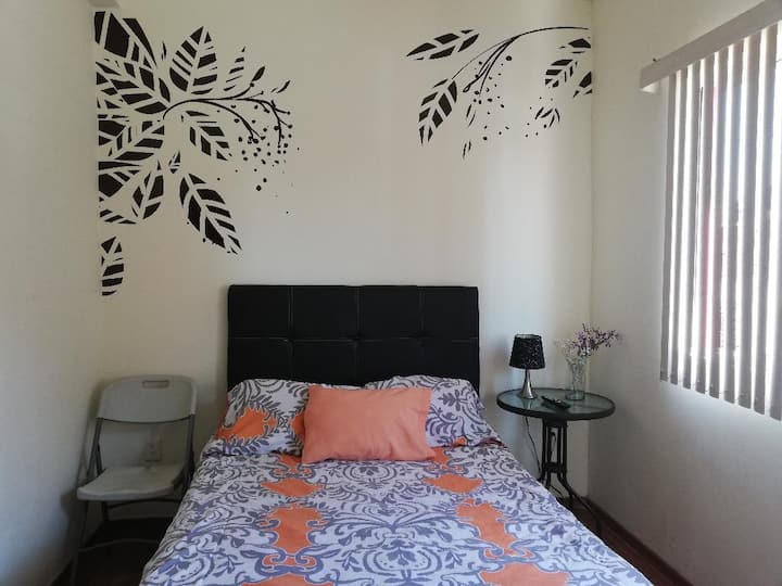 Suite En El Centro - San Luis Potosí