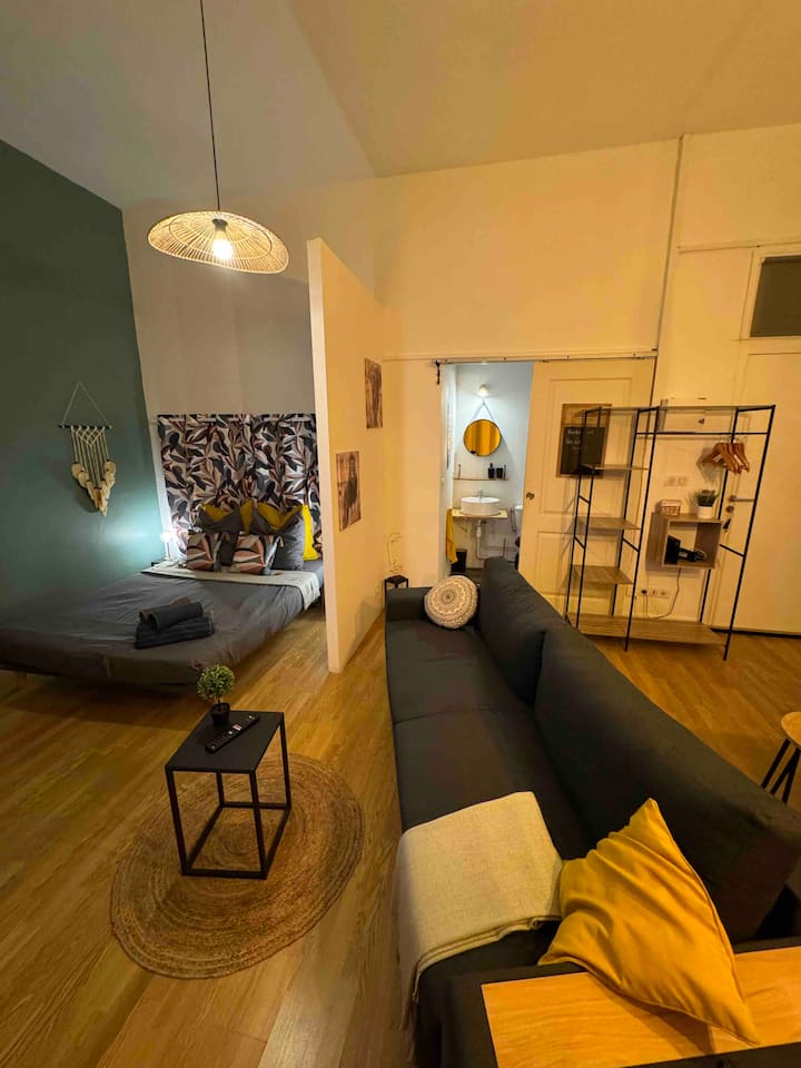 Charmant Appartement Climatisé, Au Pied De La Cité - Carcassonne