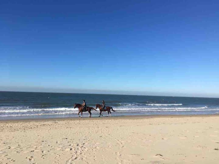 Ferienhaus Dona Zeeland Holland Bruinisse Aquadelt - Bruinisse